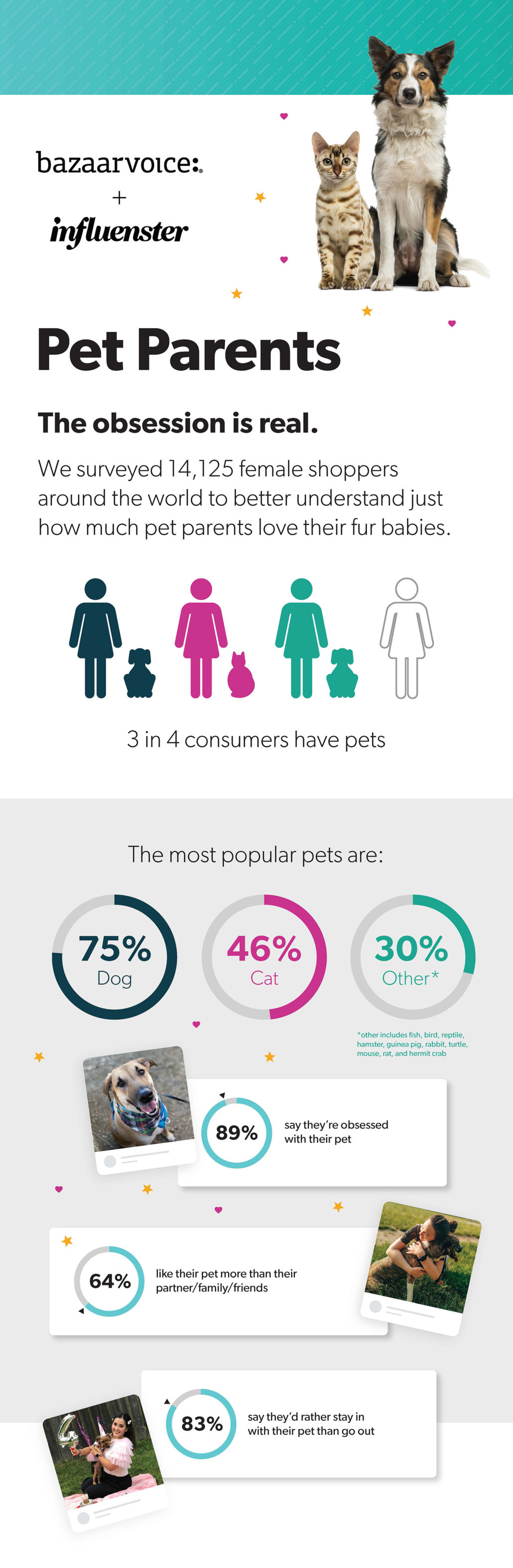 Pets and purchases: How pet owners shop for their furry friends