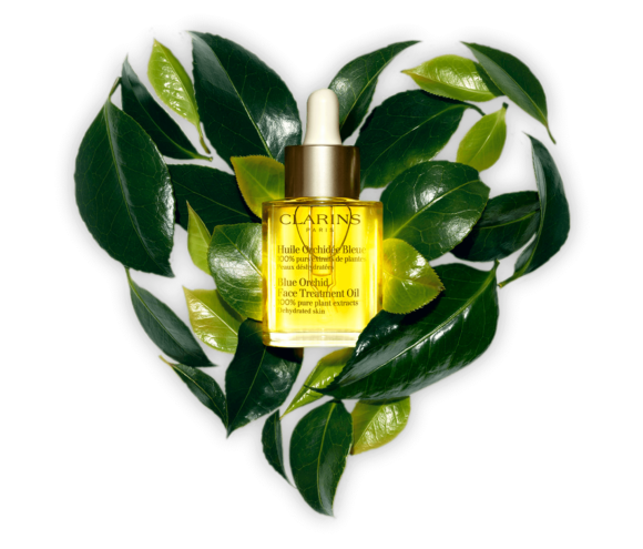 Case Study: Clarins | Bazaarvoice